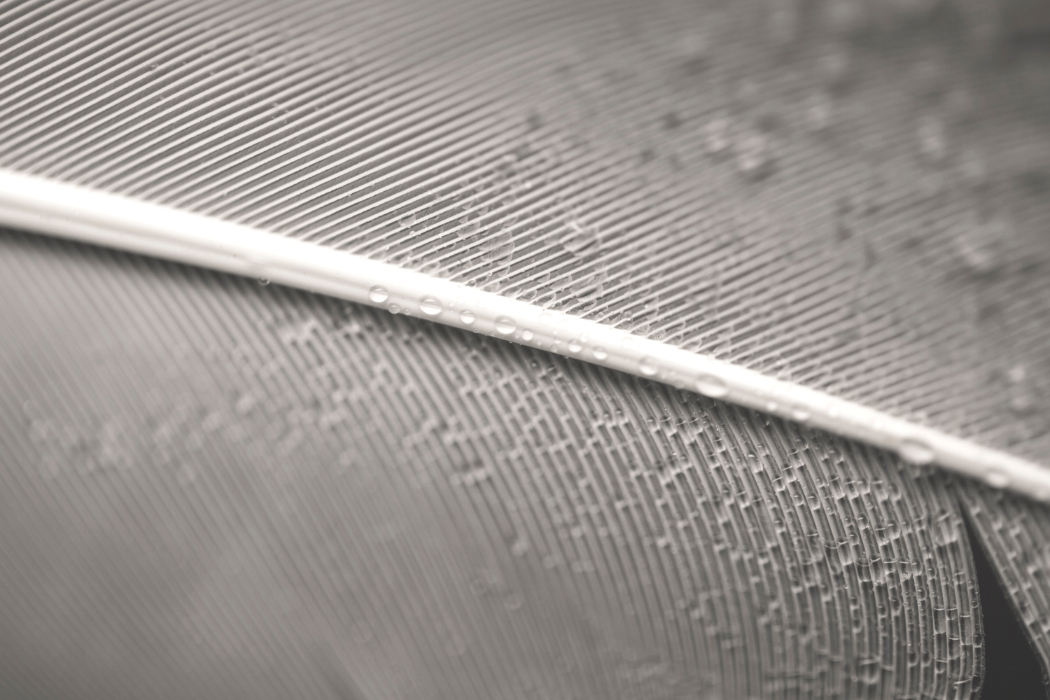 Advanced Quick-Drying Fabric Technology | Nanotechnology